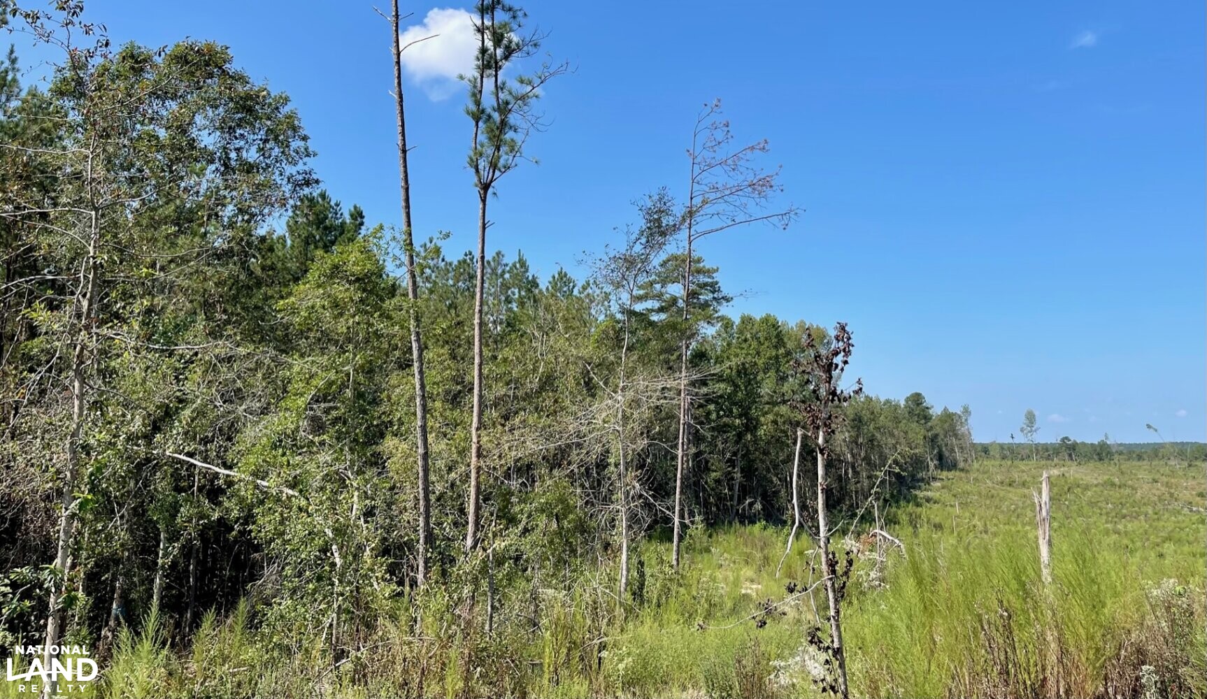 Paulding Recreational Timber with Camp Site in Jasper County ...