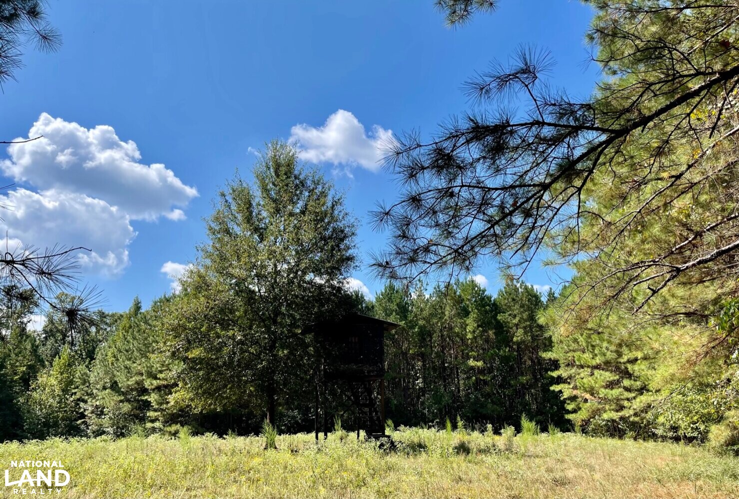 Paulding Recreational Timber with Camp Site in Jasper County ...