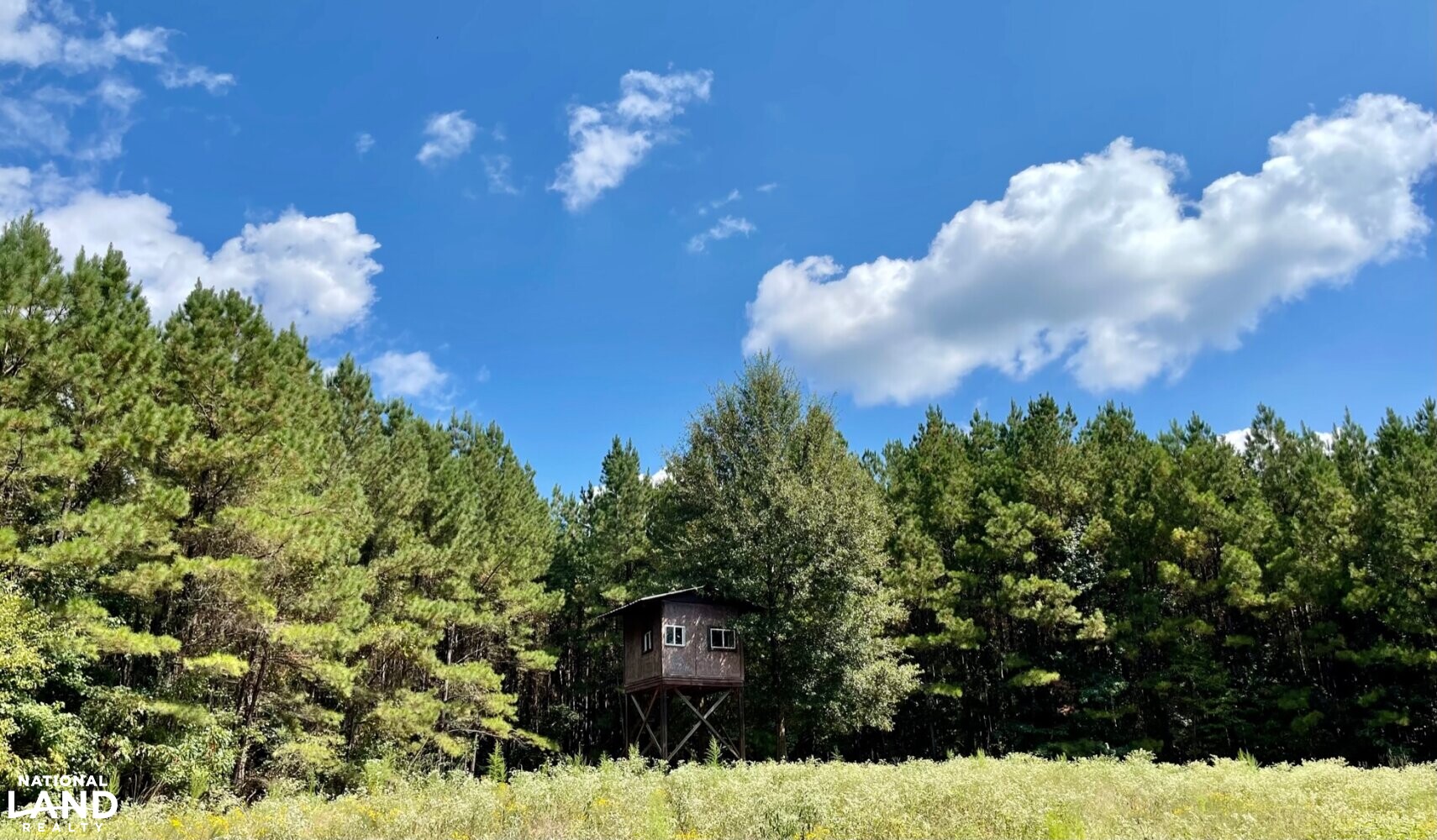 Paulding Recreational Timber with Camp Site in Jasper County ...