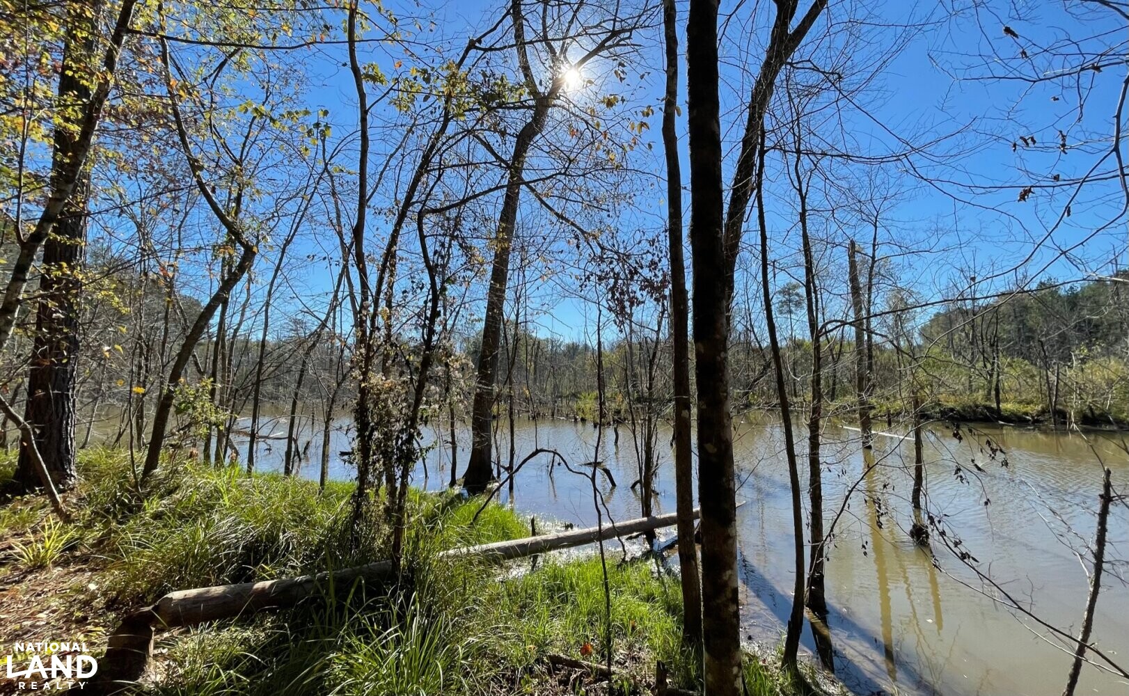 Paulding Recreational Timber with Camp Site in Jasper County ...