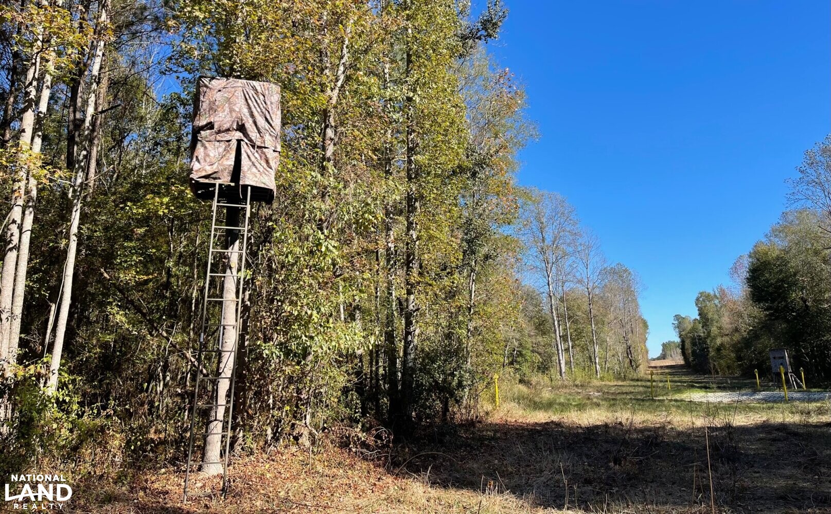 Paulding Recreational Timber with Camp Site in Jasper County ...