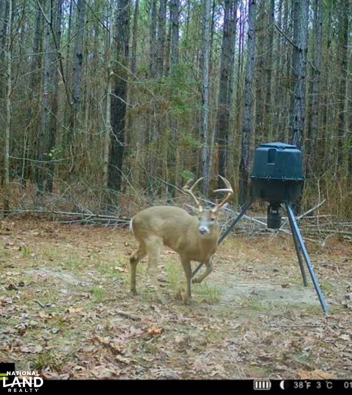 Paulding Recreational Timber with Camp Site in Jasper County ...