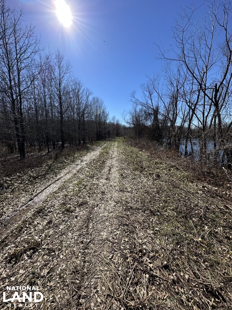 " North Panther Swamp " WRP 118 in Humphreys County, Mississippi (82 ...