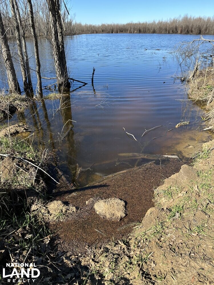 " North Panther Swamp " WRP 118 in Humphreys County, Mississippi (82 ...