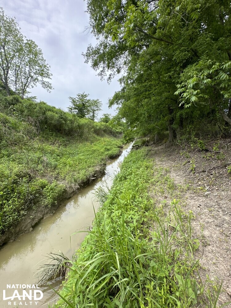 " North Panther Swamp " WRP 118 in Humphreys County, Mississippi (82 ...