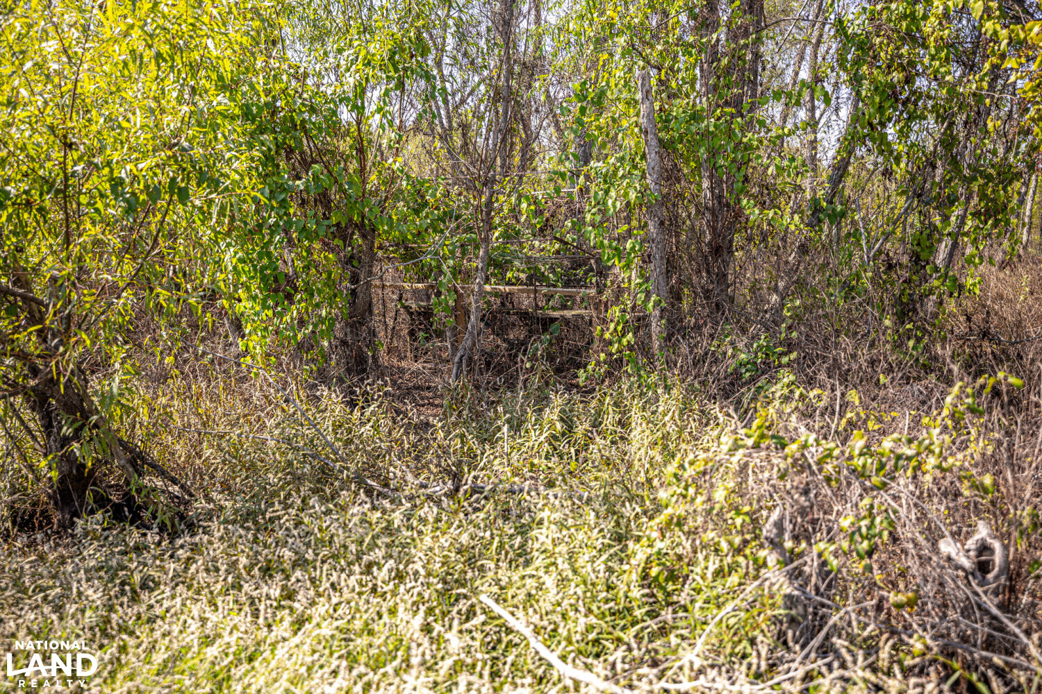 " North Panther Swamp " WRP 118 in Humphreys County, Mississippi (82 ...