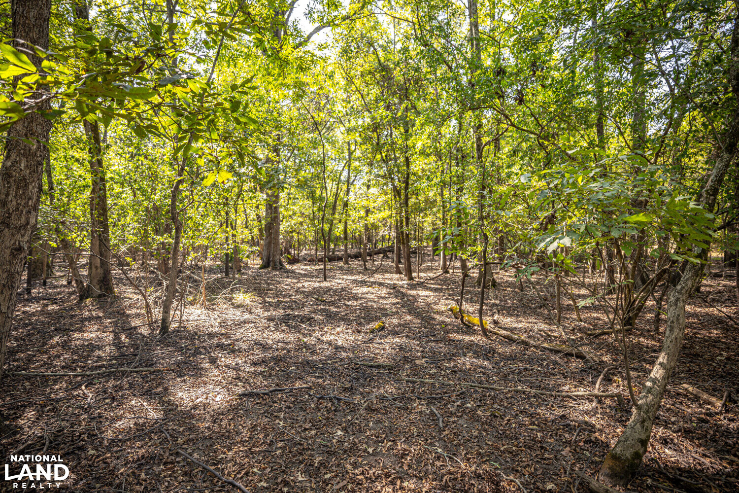 " North Panther Swamp " WRP 118 in Humphreys County, Mississippi (82 ...