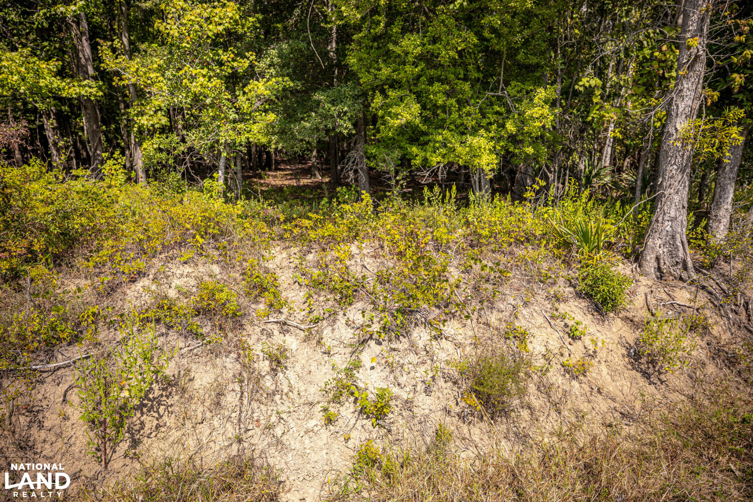 " North Panther Swamp " WRP 118 in Humphreys County, Mississippi (82 ...