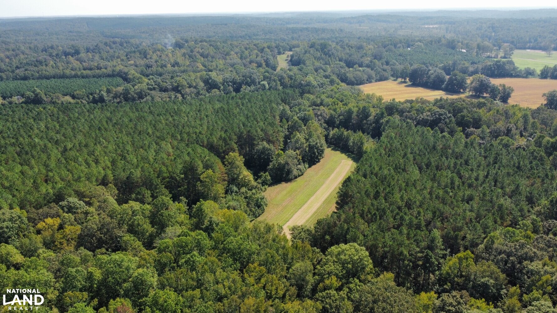 Tippah County Investment Tract in Tippah County, Mississippi (27 Photos ...