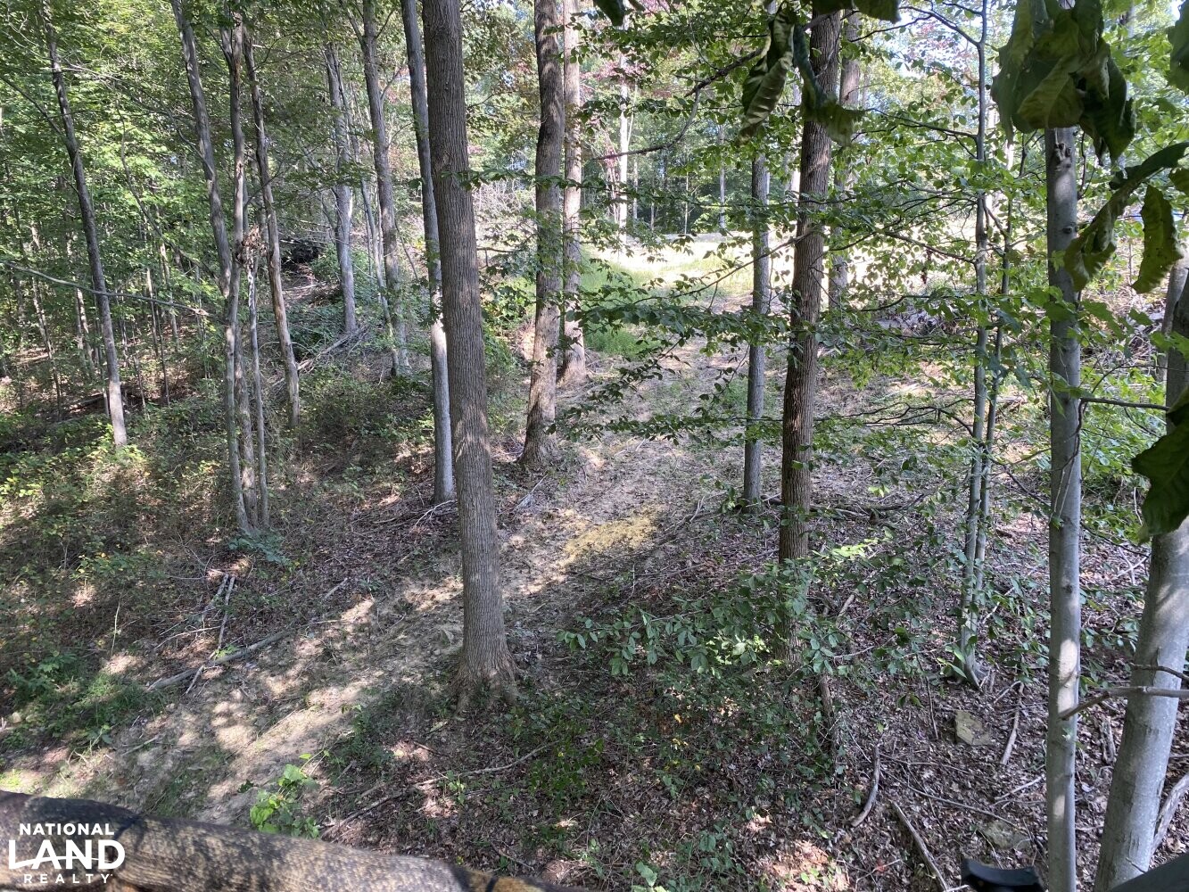86 Acres +/- Recreational Tract in Adams County, Ohio (29 Photos ...