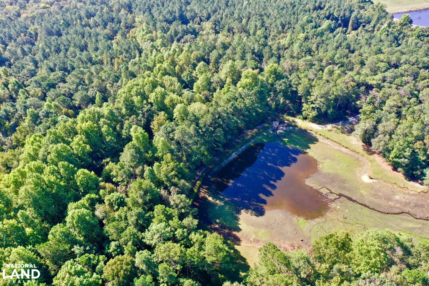Dew Farm in Sampson County, North Carolina (25 Photos) | National Land ...