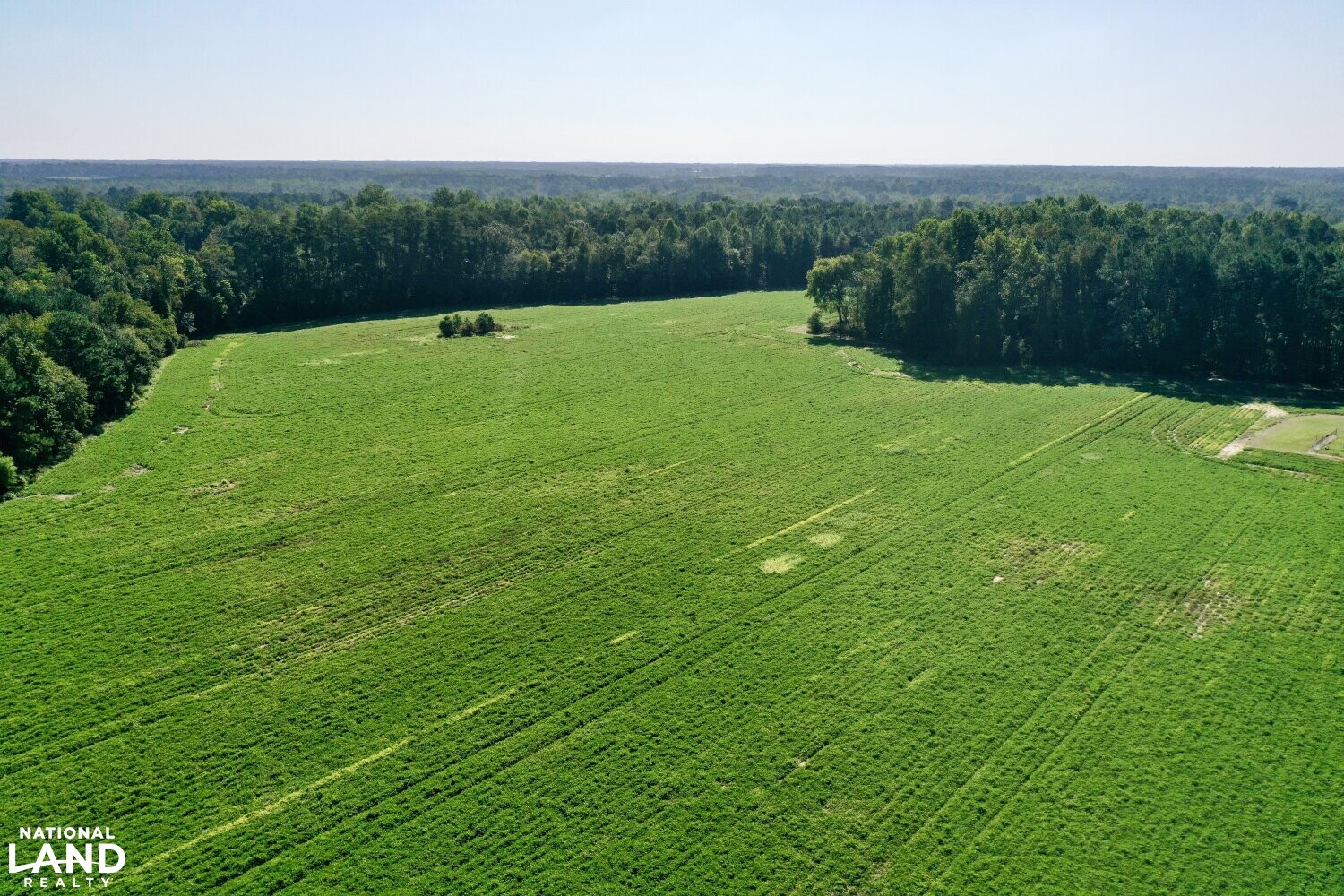 Dew Farm in Sampson County, North Carolina (25 Photos) | National Land ...