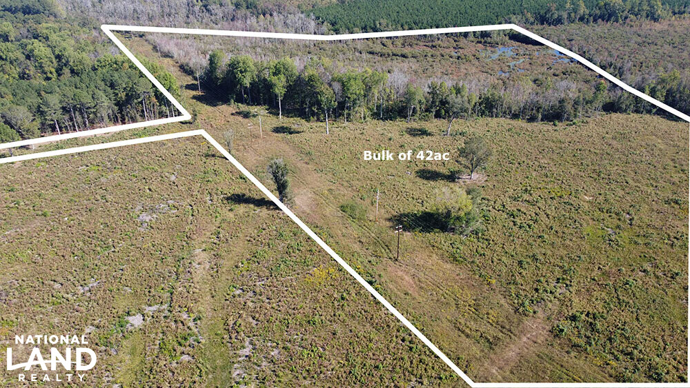 Homesite Homestead Deer Duck Turkey in Marlboro County, South Carolina ...