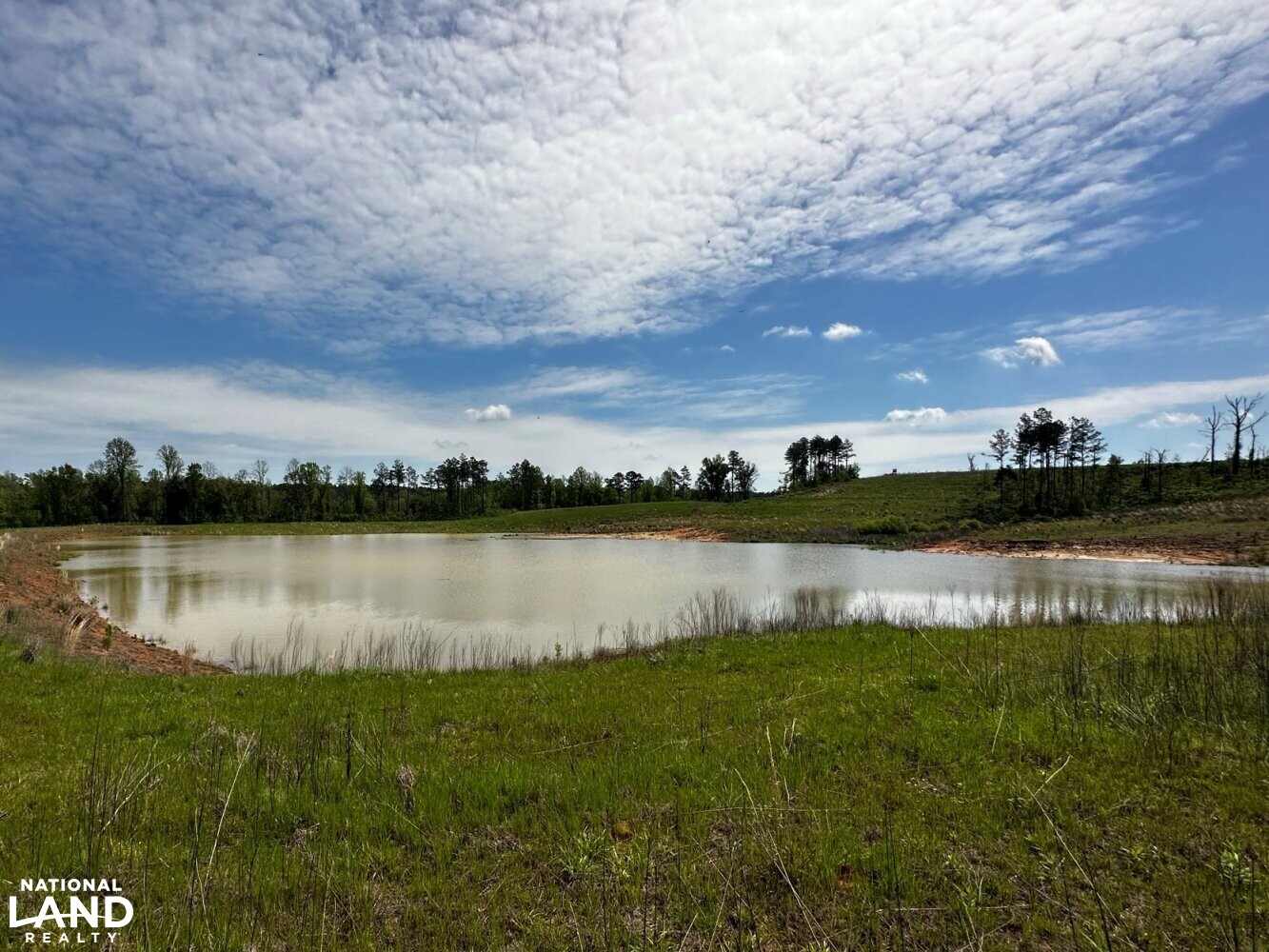 Highlands Wildlife and Lake Tract in Jasper County, Mississippi (21 ...