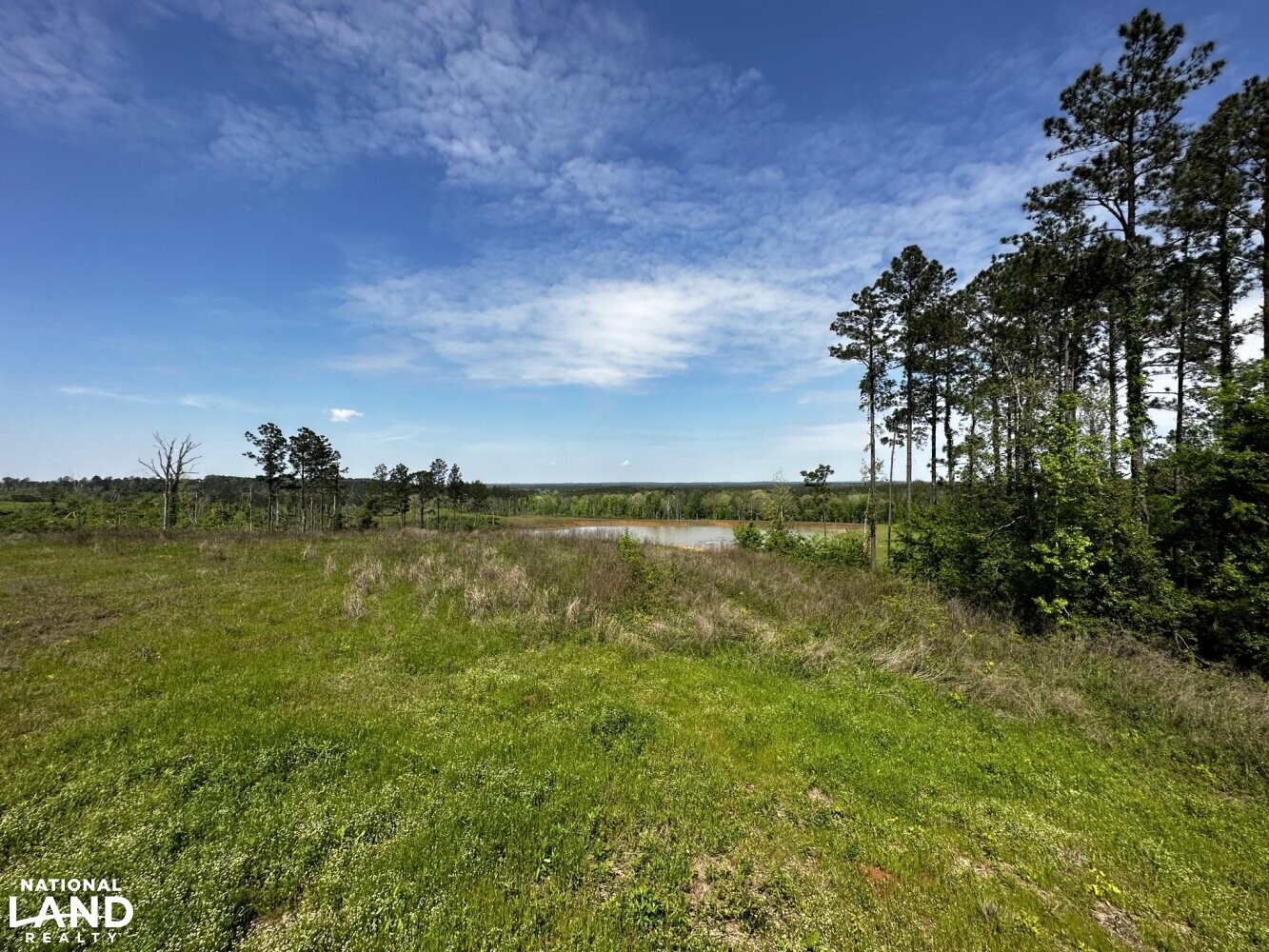 Highlands Wildlife and Lake Tract in Jasper County, Mississippi (21 ...