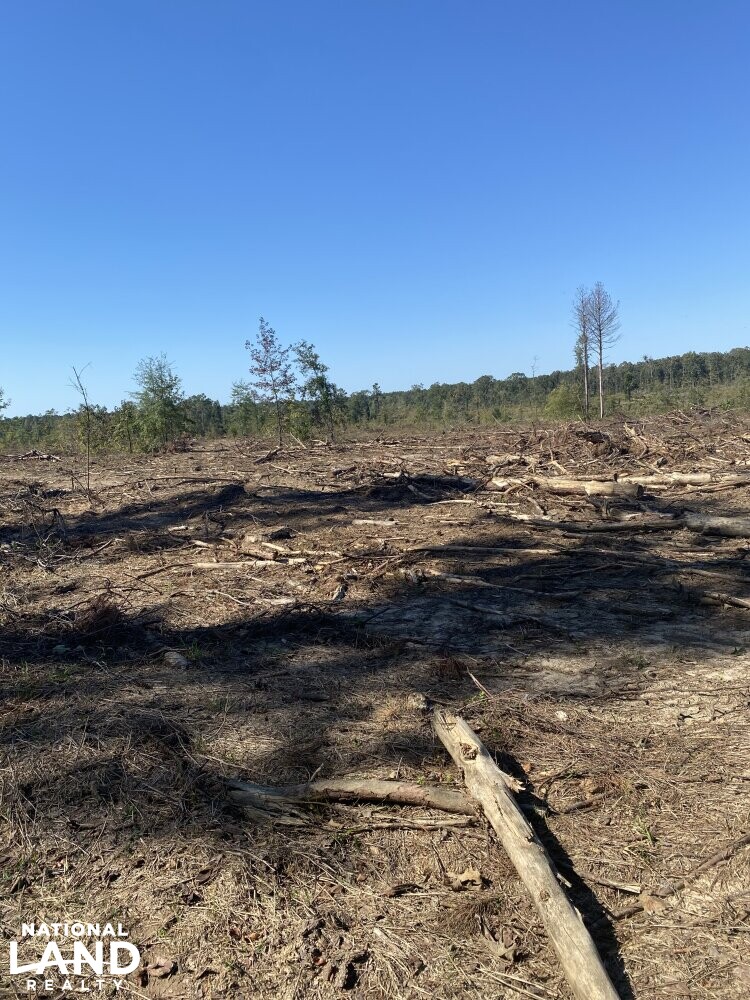 Rison Retreat in Cleveland County, Arkansas (7 Photos) | National Land ...