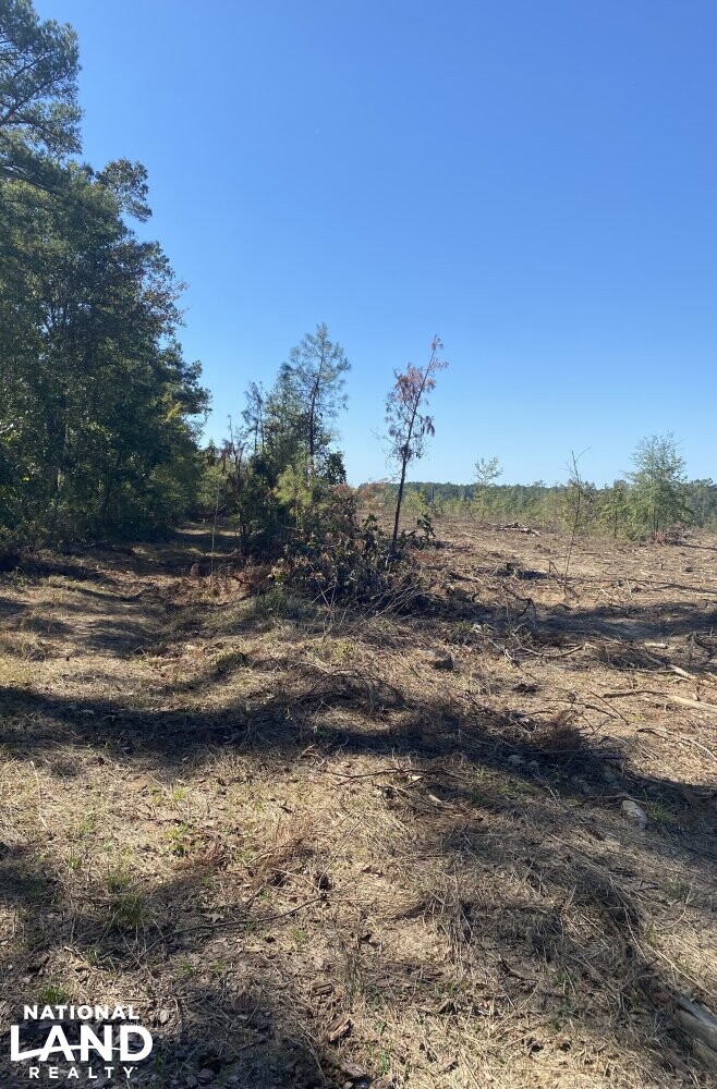 Rison Retreat in Cleveland County, Arkansas (7 Photos) | National Land ...