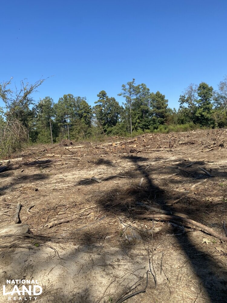 Rison Retreat in Cleveland County, Arkansas (7 Photos) | National Land ...