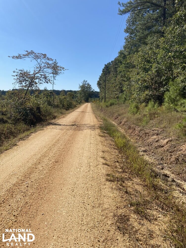 Rison Retreat in Cleveland County, Arkansas (7 Photos) | National Land ...