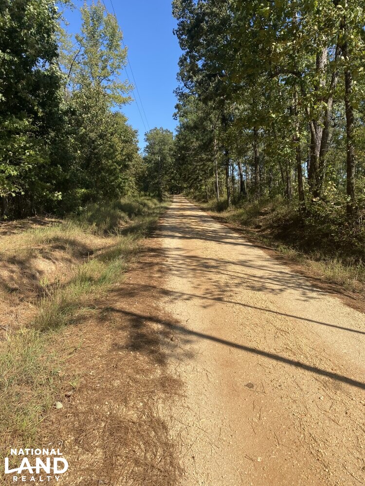 Rison Retreat in Cleveland County, Arkansas (7 Photos) | National Land ...