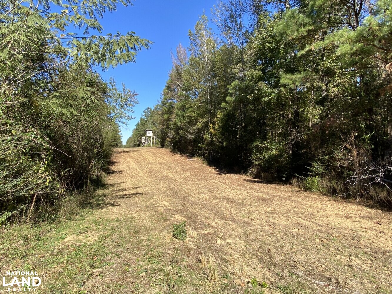 Co. Rd. 614 - Maplesville Hunting Tract in Chilton County, Alabama (22 ...