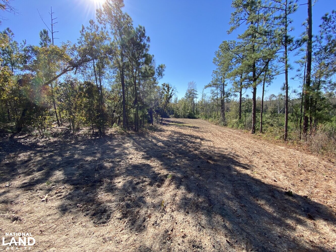 Co. Rd. 614 - Maplesville Hunting Tract in Chilton County, Alabama (22 ...
