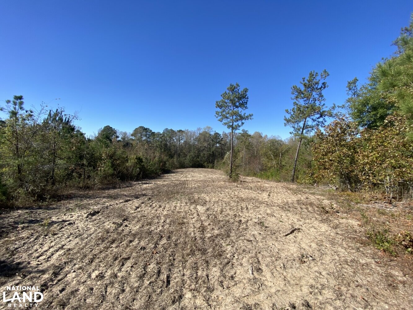 Co. Rd. 614 - Maplesville Hunting Tract in Chilton County, Alabama (22 ...