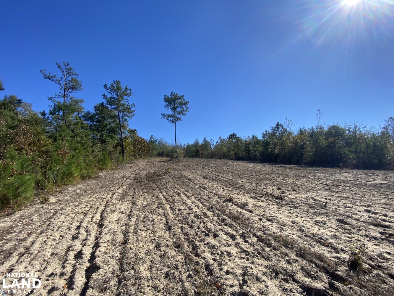 Co. Rd. 614 - Maplesville Hunting Tract in Chilton County, Alabama (22 ...