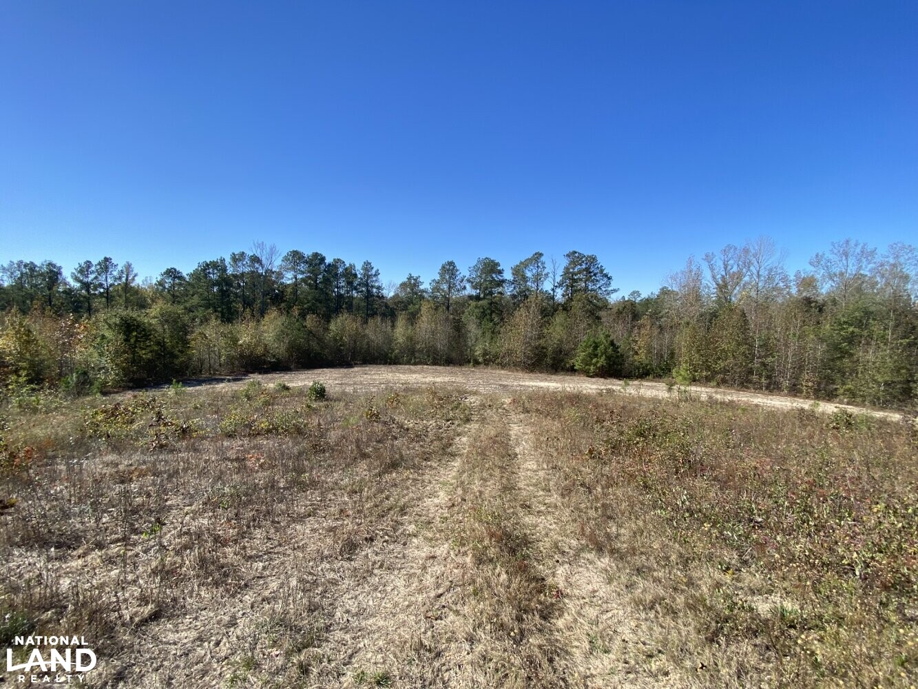 Co. Rd. 614 - Maplesville Hunting Tract in Chilton County, Alabama (22 ...