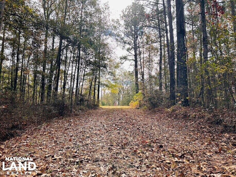 Roberta Rural Homesite in Crawford County, Georgia (14 Photos ...