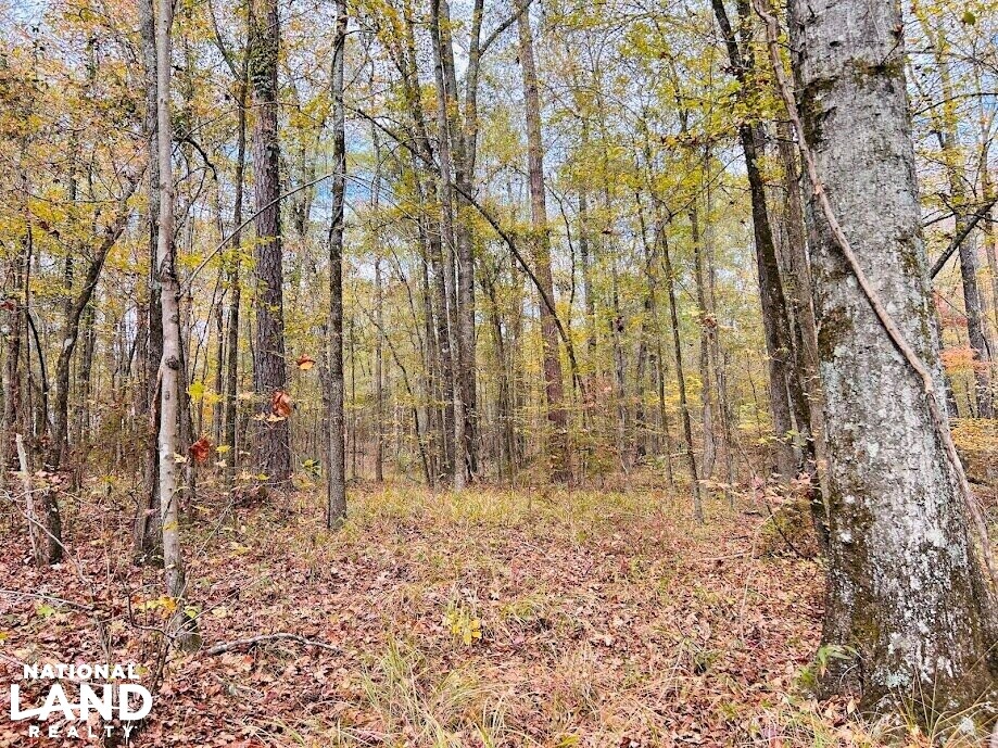 Roberta Rural Acreage in Crawford County, Georgia (15 Photos ...