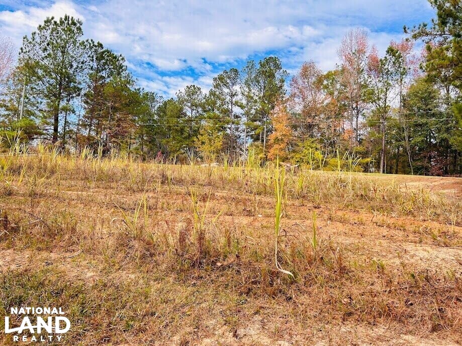 Roberta Rural Acreage in Crawford County, Georgia (15 Photos ...