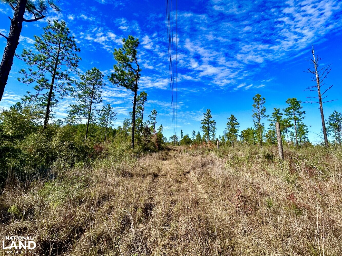 Wiggins Highway Commercial Development in Stone County, Mississippi (8 ...