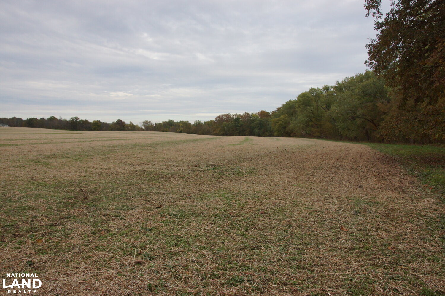 Creek bottom Ag fields with barn and ponds in Gallatin County, Kentucky ...