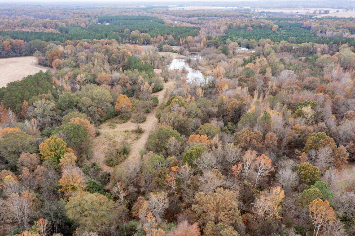 Sanders Ferry Road Homeplace, Hunting & Fishing Retreat in Tuscaloosa ...