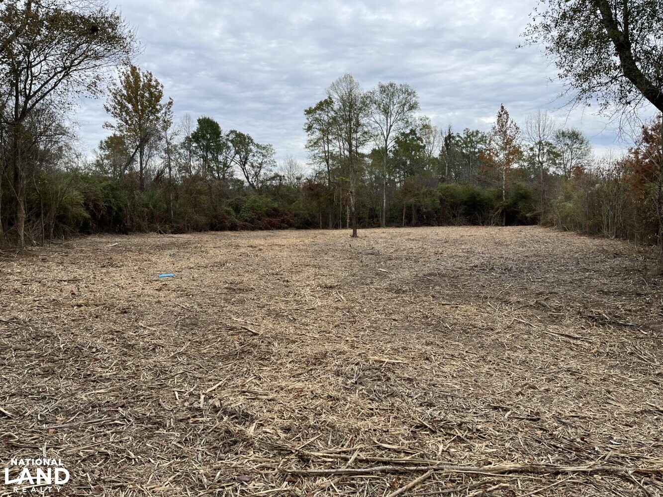 Hardwood Timber - Hunting - Investment Property in Newton County ...