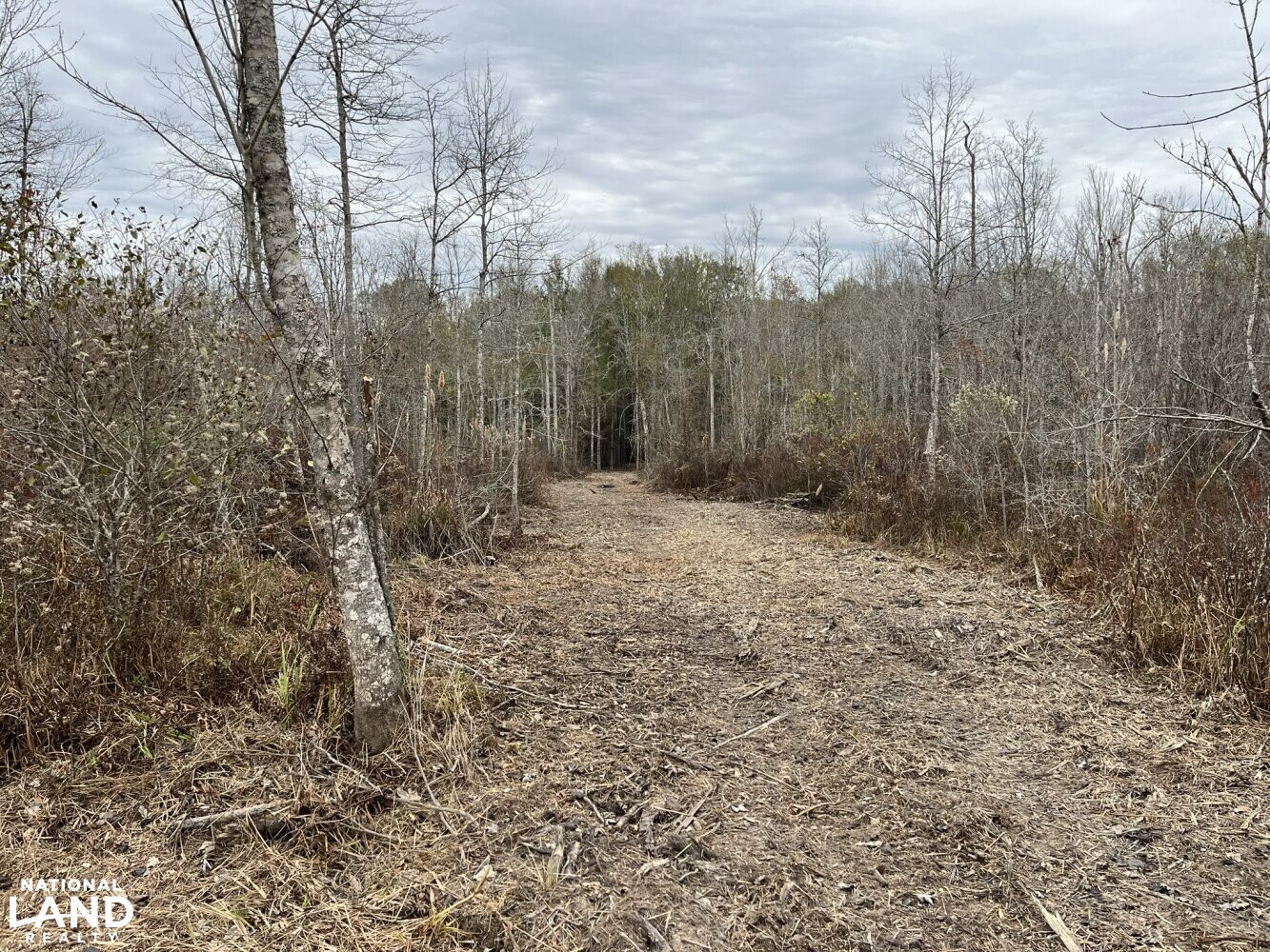 Hardwood Timber - Hunting - Investment Property in Newton County ...