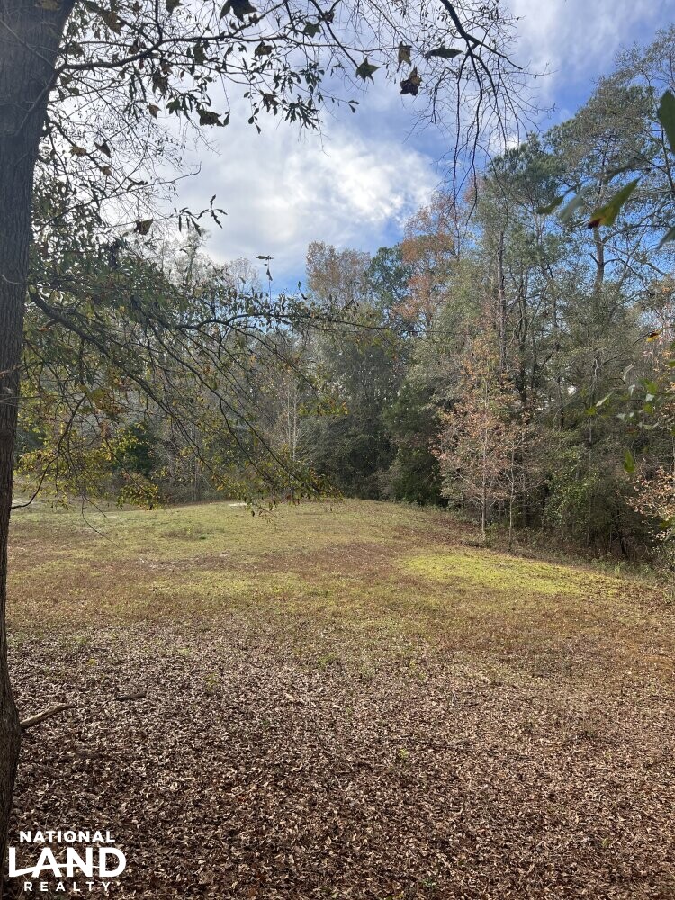 Tranquil 8-Acre Homestead with Pond in Barbour County, Alabama (32 ...