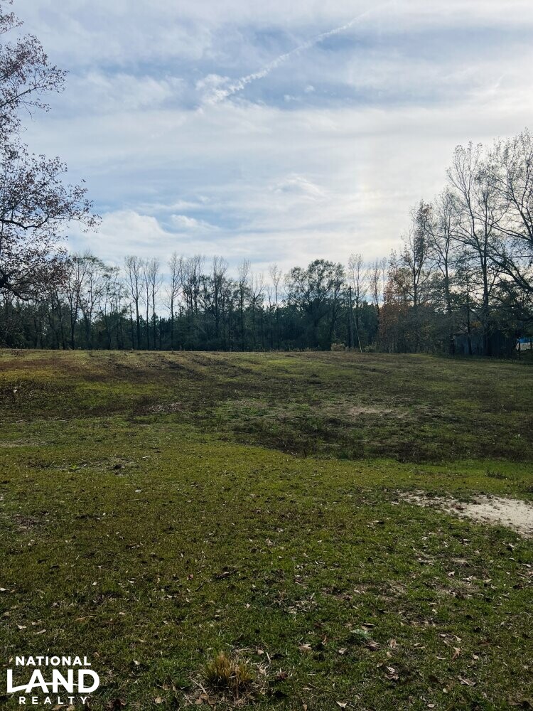 Tranquil 8-Acre Homestead with Pond in Barbour County, Alabama (32 ...