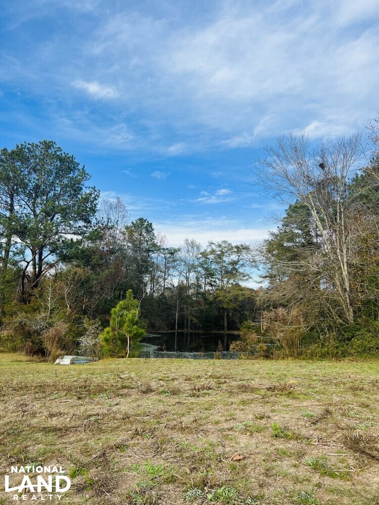 Tranquil 8-Acre Homestead with Pond in Barbour County, Alabama (32 ...