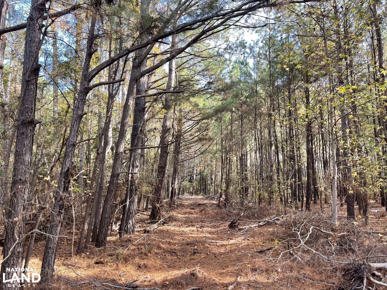 Shallotte River Tract in Brunswick County, North Carolina (22 Photos ...
