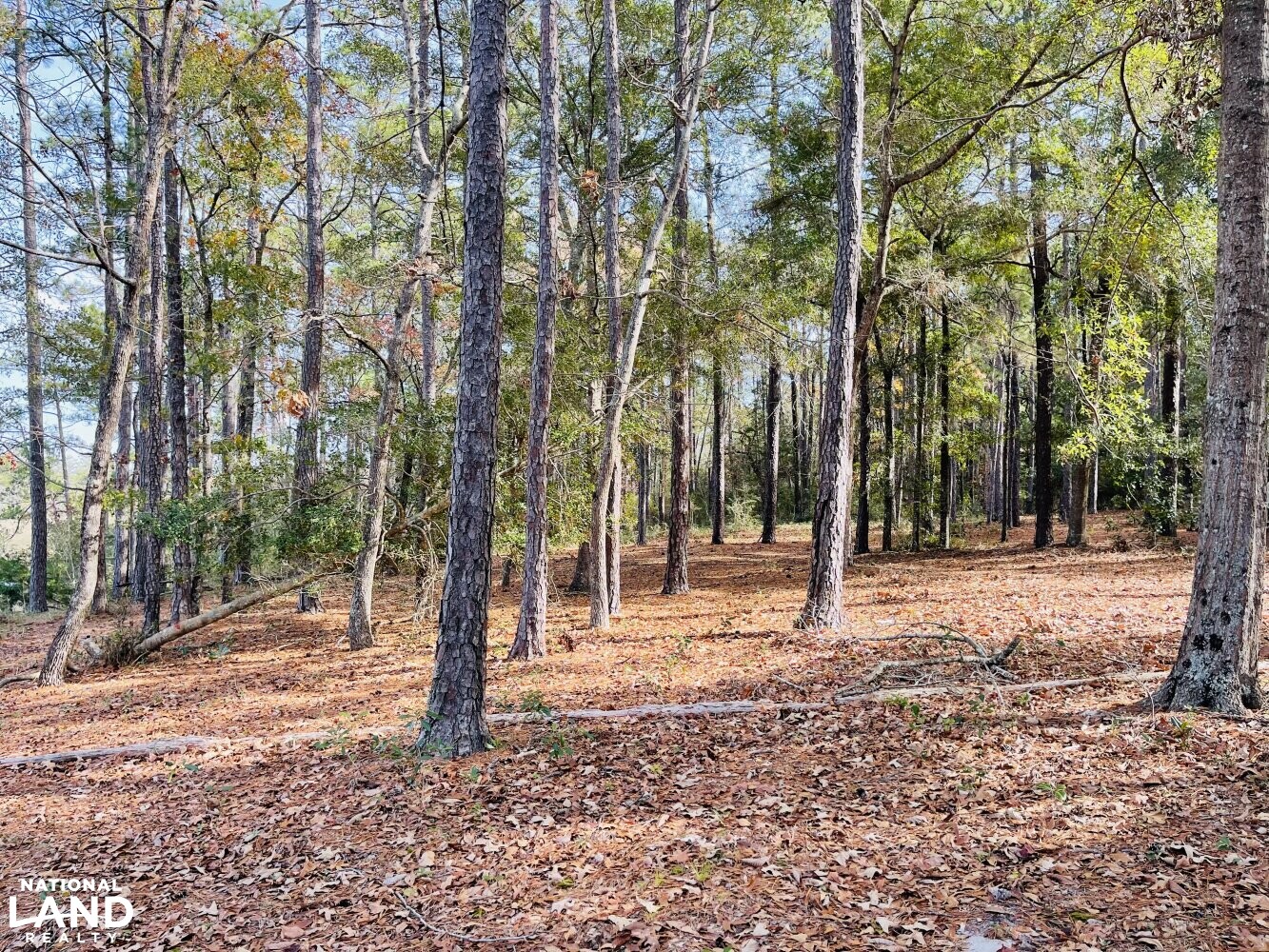 Shallotte River Tract in Brunswick County, North Carolina (22 Photos ...