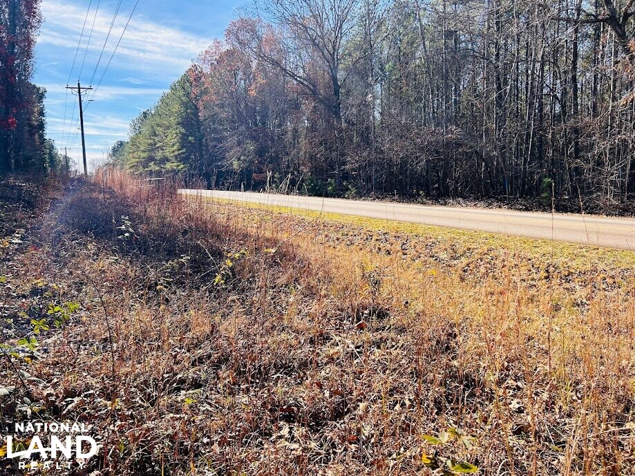 Rocky Mount Road Rec Tract in Meriwether County, Georgia (18 Photos ...