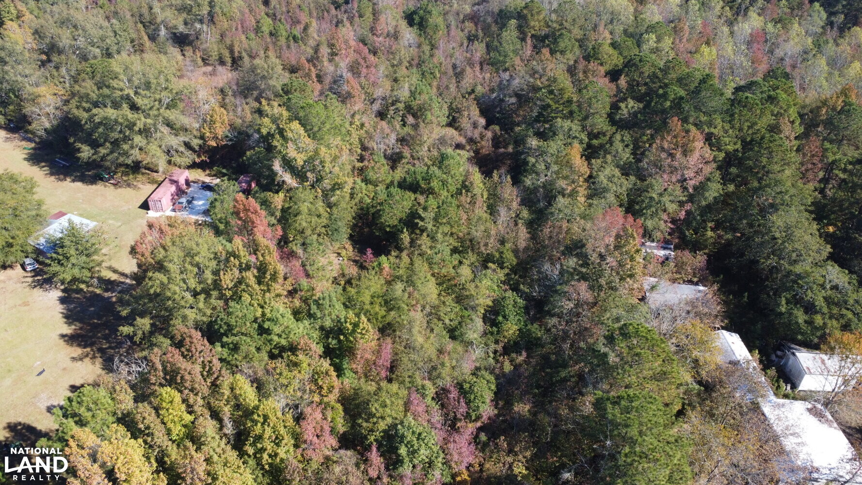 Reevesville Rural Homesite in Dorchester County, South Carolina (15 ...