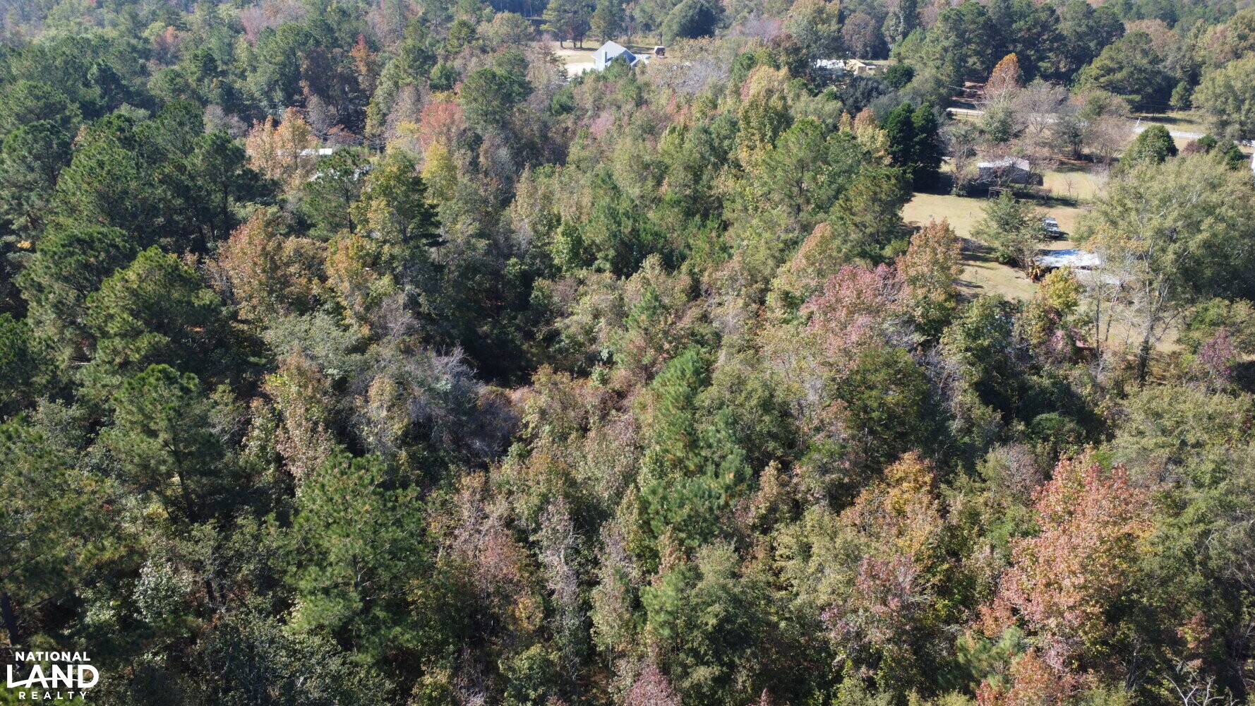 Reevesville Rural Homesite in Dorchester County, South Carolina (15 ...