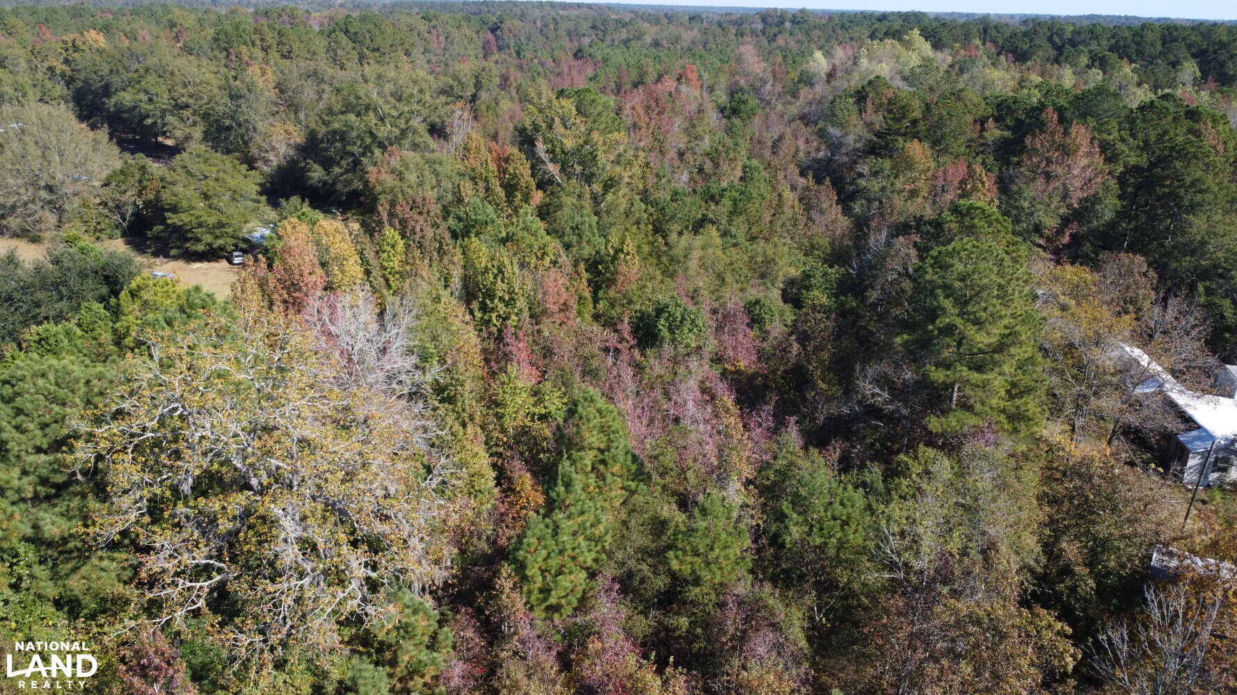 Reevesville Rural Homesite in Dorchester County, South Carolina (15 ...