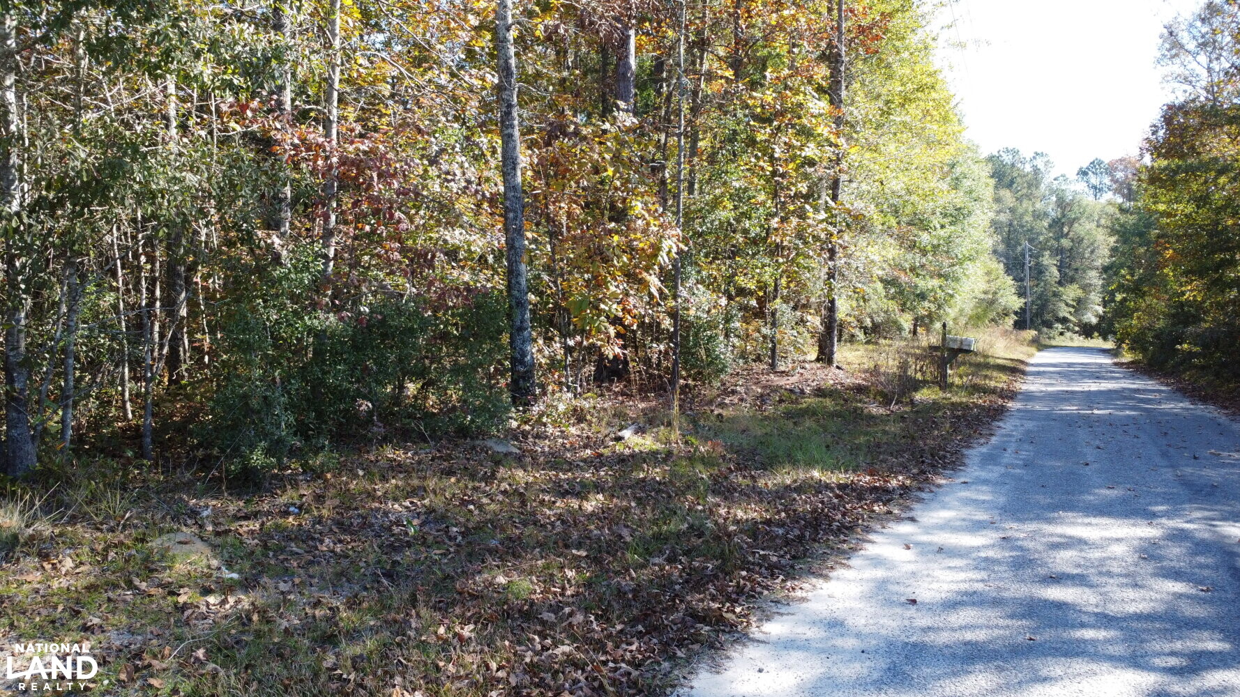 Reevesville Rural Homesite in Dorchester County, South Carolina (15 ...