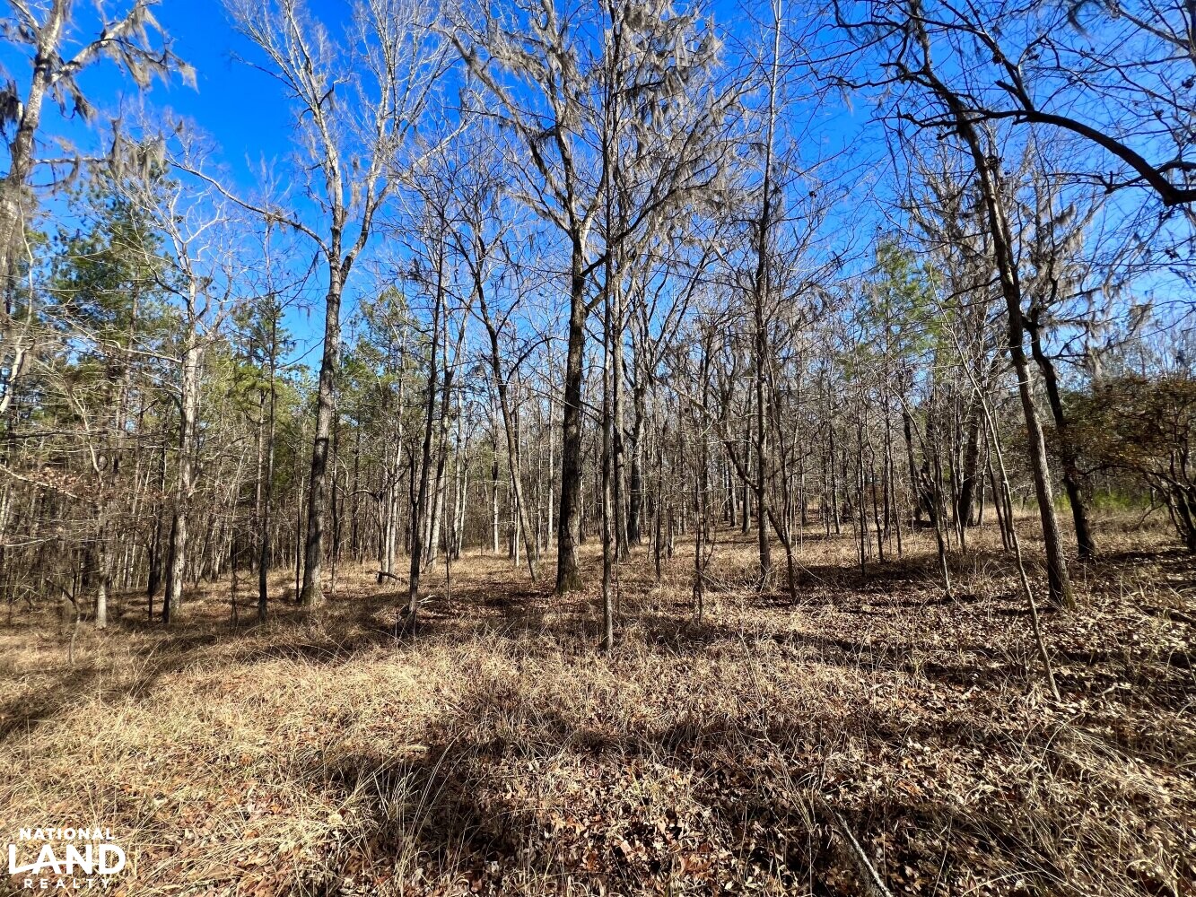 North Fork Cowikee Creek Hunting and Recreational Tract in Barbour ...