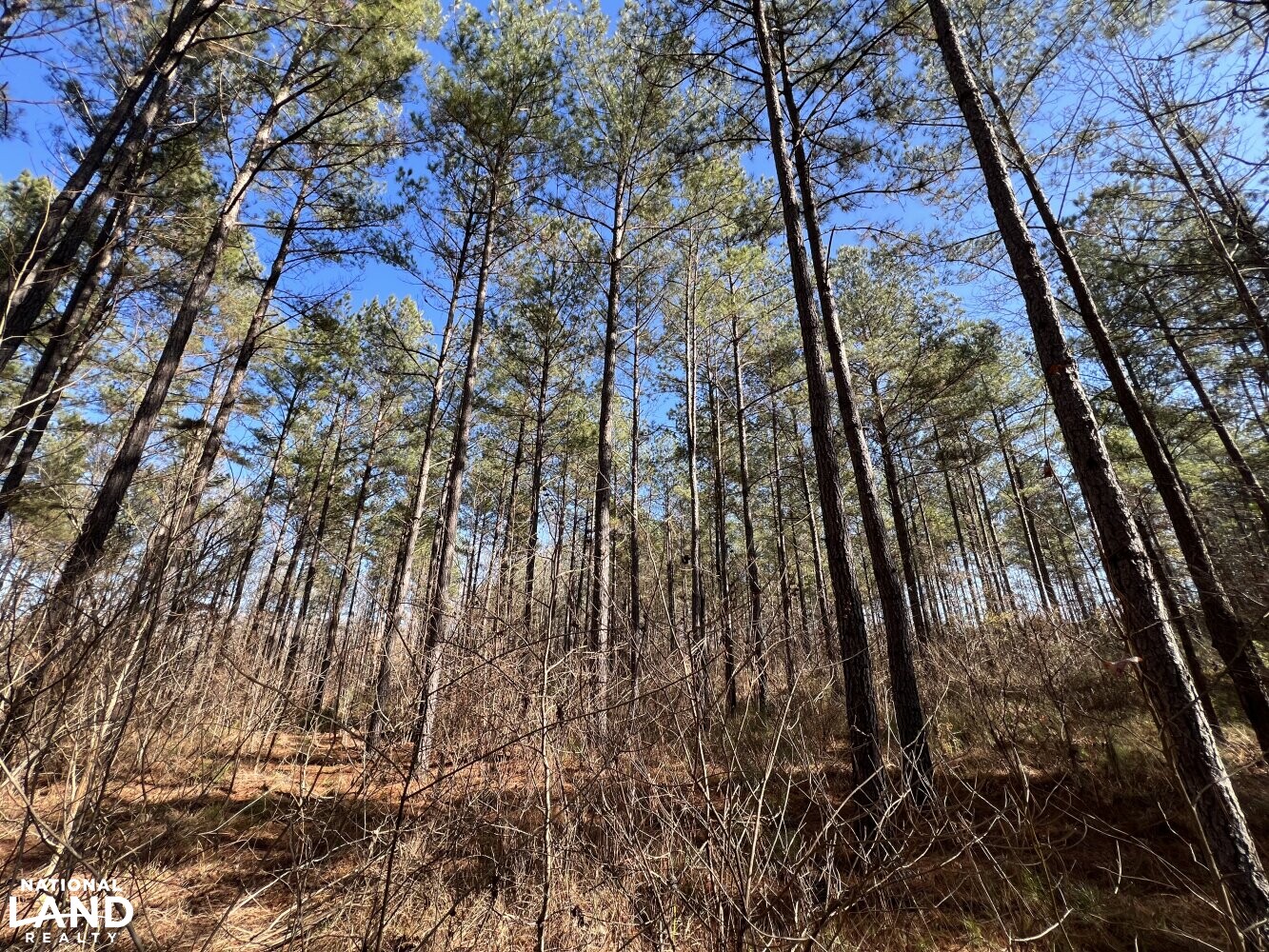 North Fork Cowikee Creek Hunting and Recreational Tract in Barbour ...