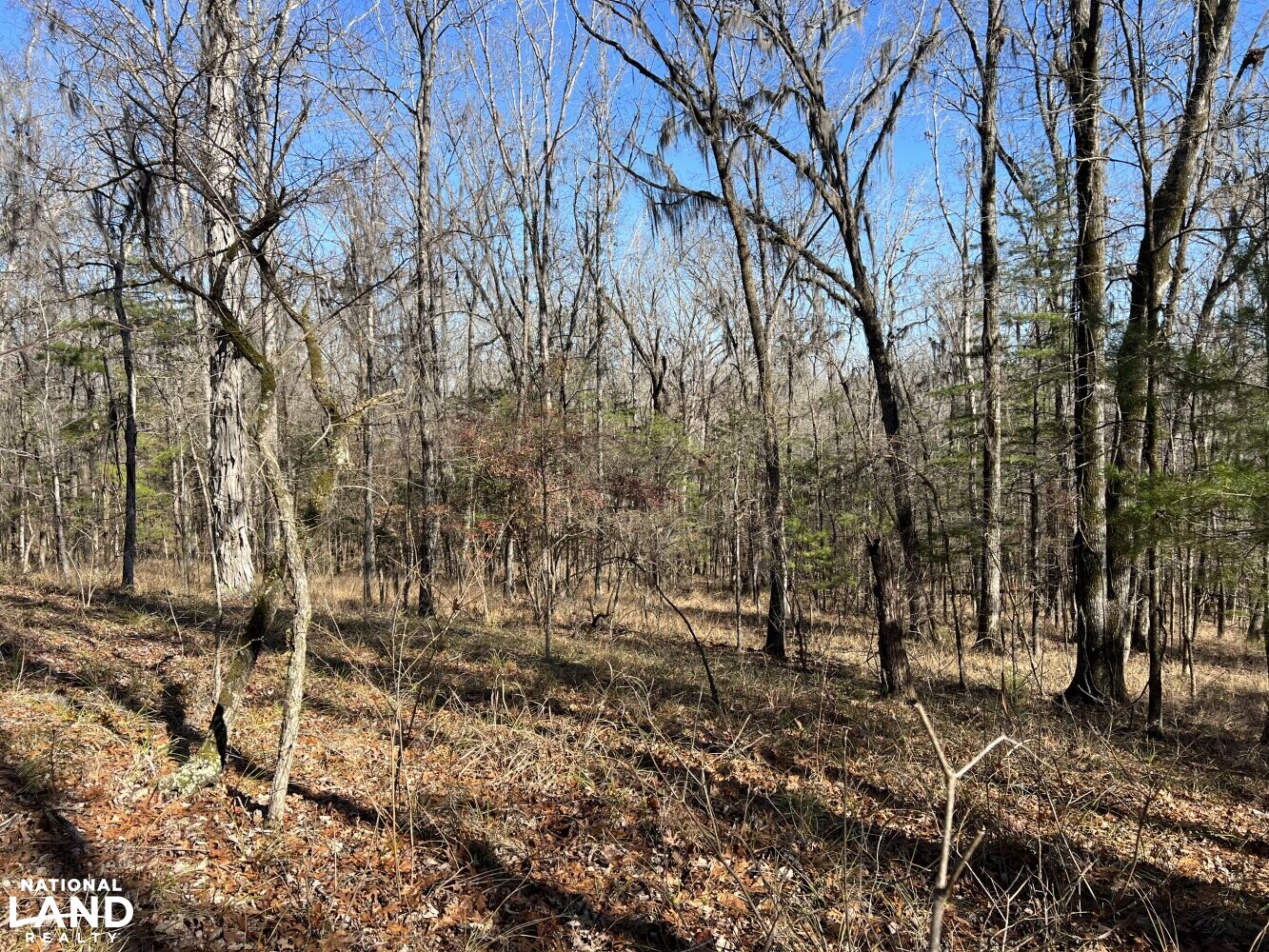 North Fork Cowikee Creek Hunting and Recreational Tract in Barbour ...